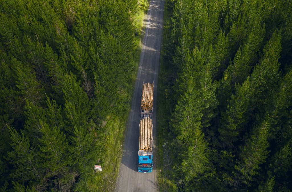 OneFortyOne New Zealand brand launches, replacing Nelson Forests name ...