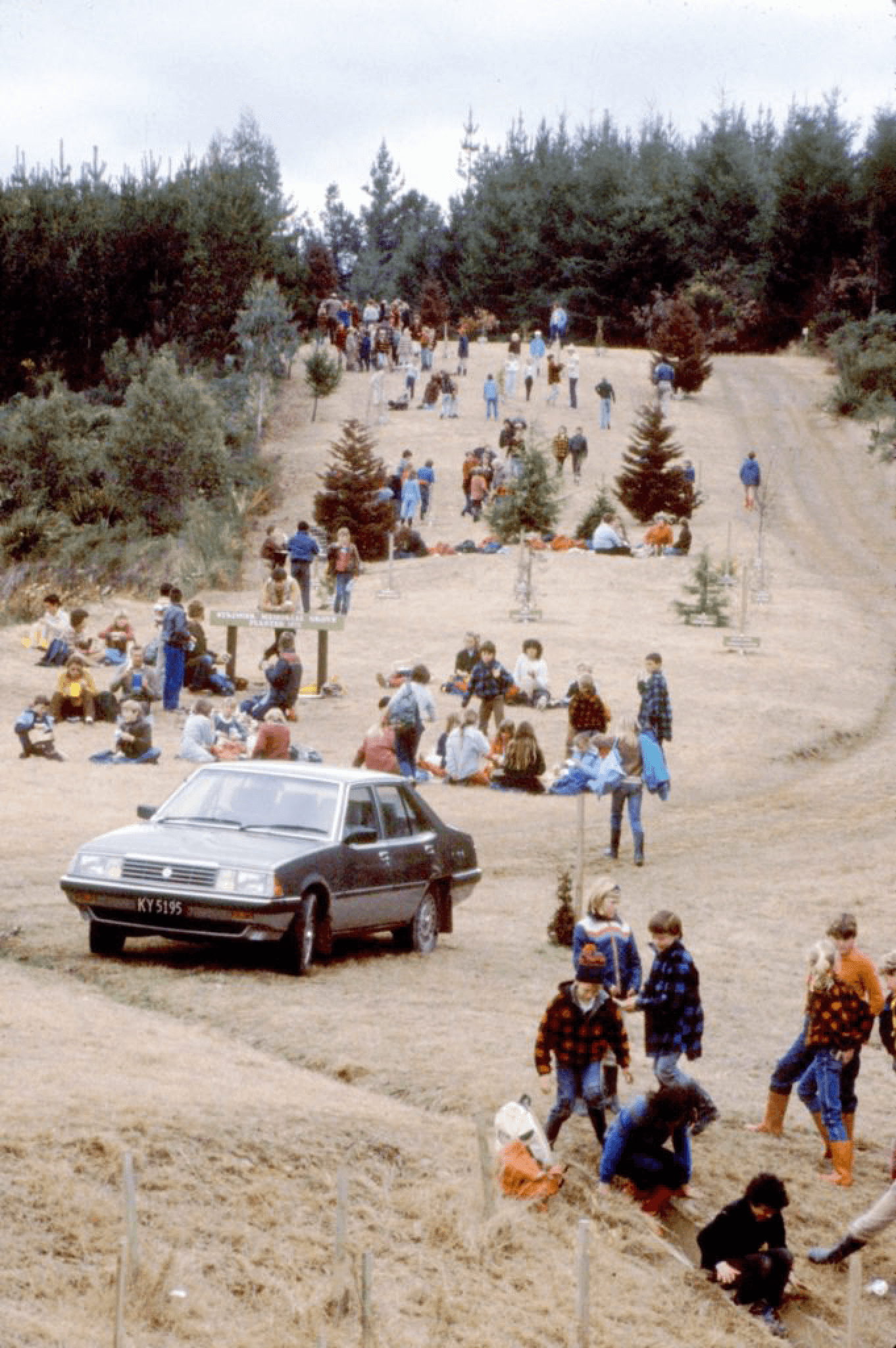 The History of Nelson Forests - One Forty One
