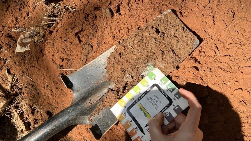 The science of soil - One Forty One