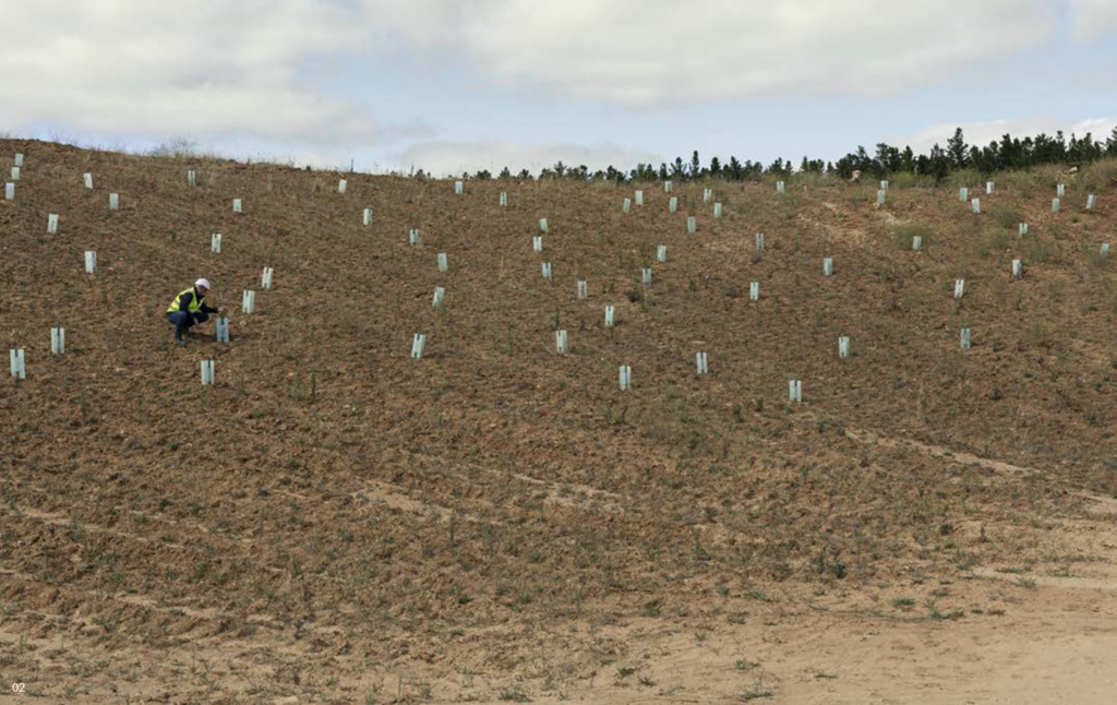 Planting is the plan for our domant quarries - One Forty One