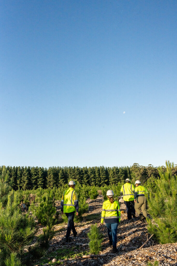 OneFortyOne announces largest Australian forestry land acquisition in a ...