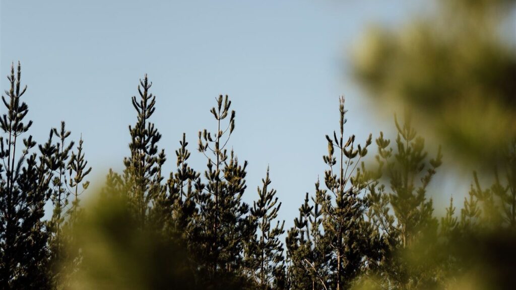 OneFortyOne 2025: Strong Results, Sustainable Future - One Forty One